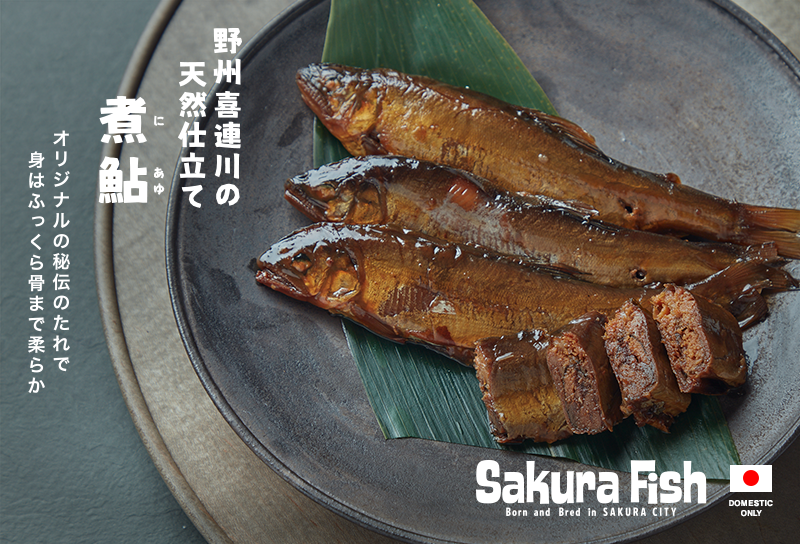 野州 喜連川の天然仕立て 煮鮎 – Sakura Fish（さくらフィッシュ）