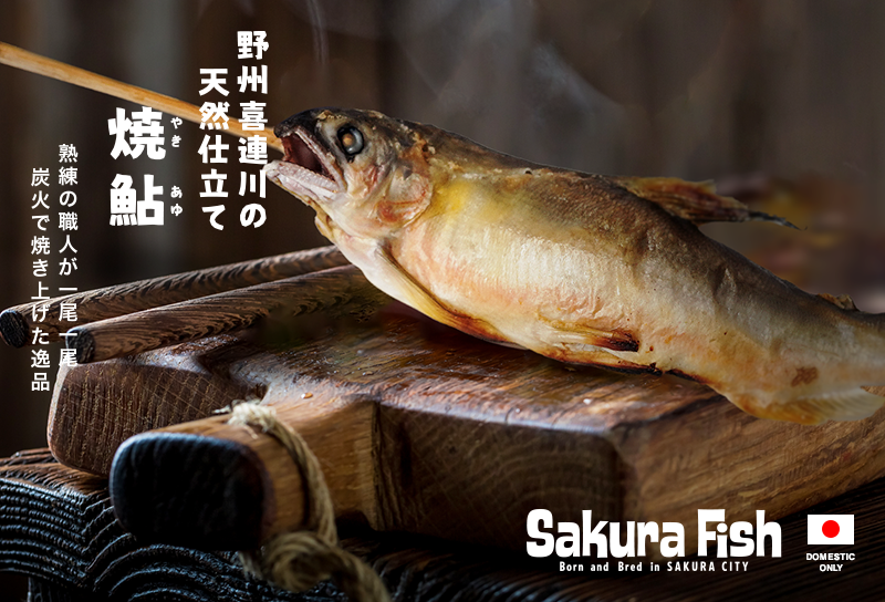 野州 喜連川の天然仕立て 焼鮎 – Sakura Fish（さくらフィッシュ）
