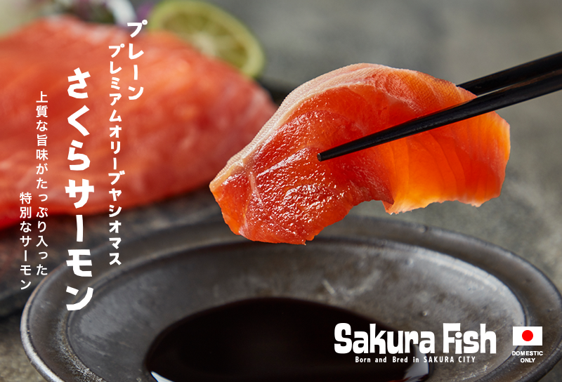さくらサーモン – Sakura Fish（さくらフィッシュ）