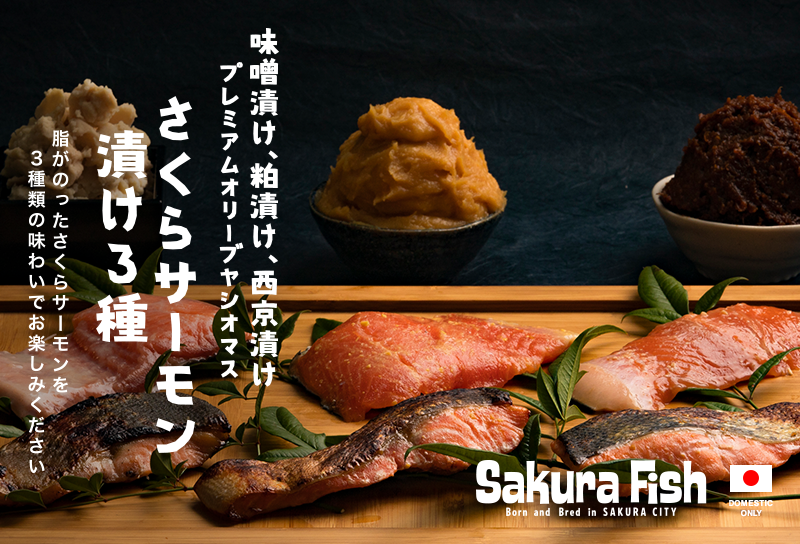 さくらサーモン – Sakura Fish（さくらフィッシュ）