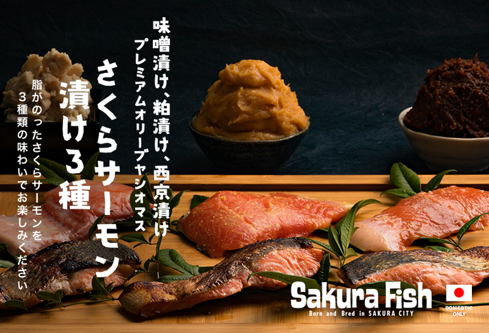 さくらサーモン漬け3種 – Sakura Fish（さくらフィッシュ）